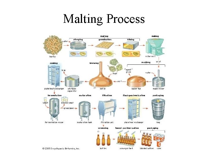 Plant Metabolism Photosynthesis The Most Important Equation in