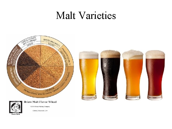 Plant Metabolism Photosynthesis The Most Important Equation in