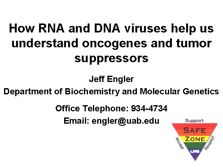 How RNA and DNA viruses help us understand