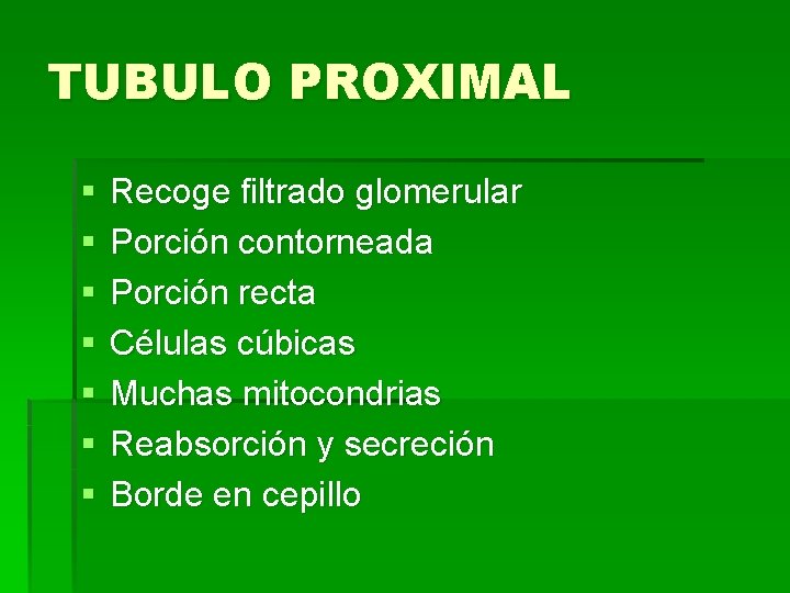 FISIOLOGIA SISTEMA URINARIO SISTEMA URINARIO Riones Vas Urinarias
