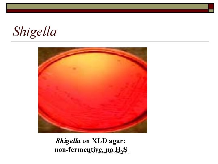Common Diseases of Human Plants Lab 8 Dr