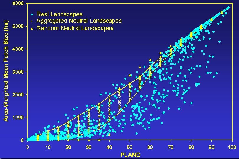 BEHAVIORAL CHARACTERISTICS OF LANDSCAPE STRUCTURE METRICS IN NEUTRAL