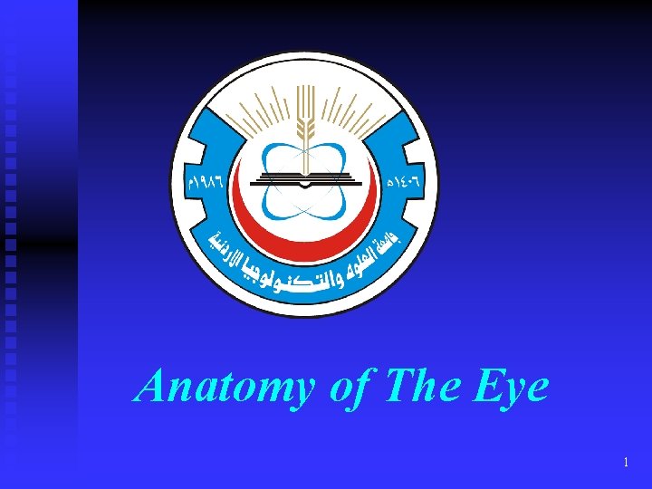 Anatomy of The Eye 1 INTRODUCTION n The