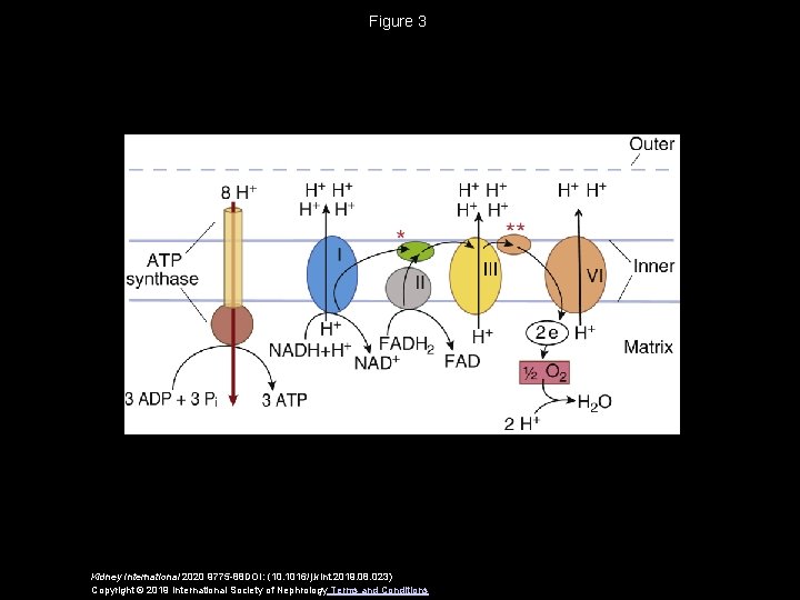 Llactic acidosis pathophysiology classification and causes emphasis on