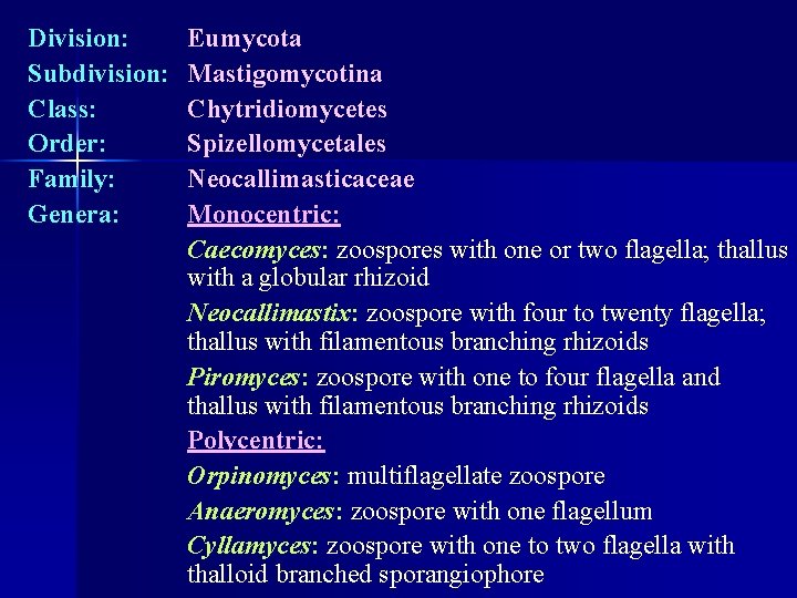 Ruminal anaerobic fungi The potential plantfiber degraders in