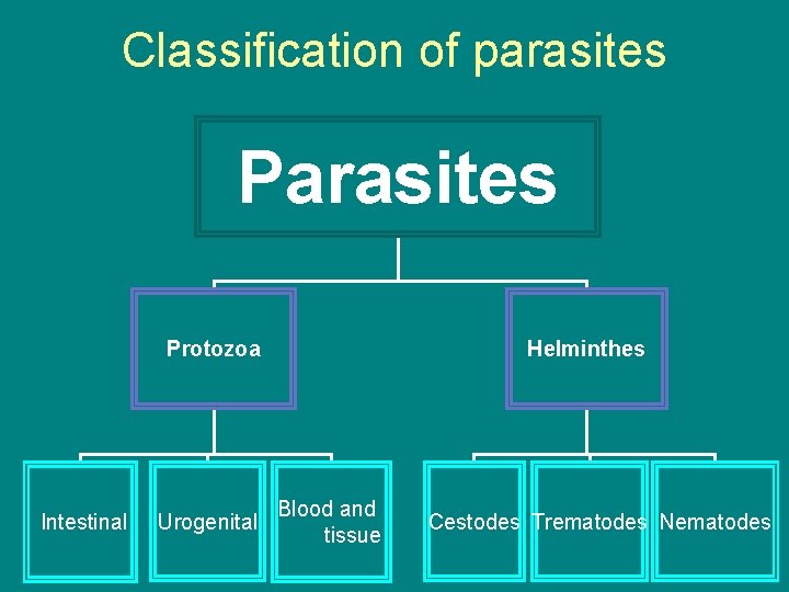 Introduction to Parasites Introduction Parasite is an organism