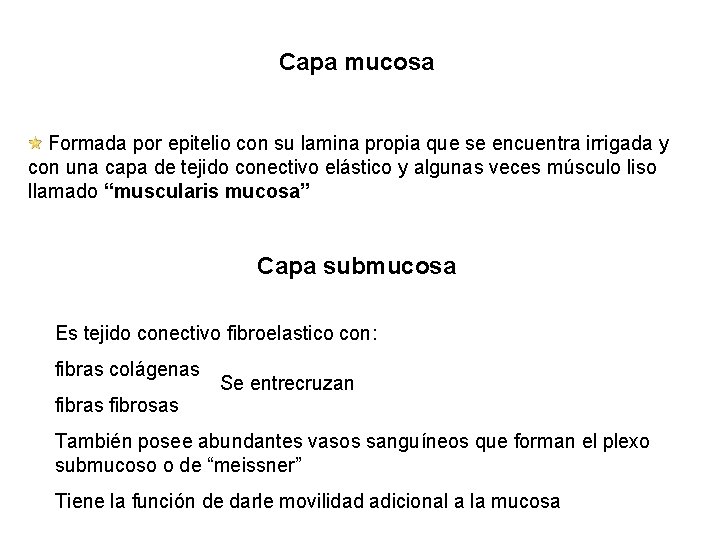 Histologa digestiva Estructura general del aparato digestivo ...