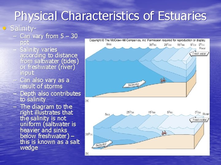 Chapter 12 Estuaries Types of Estuaries Drowned river