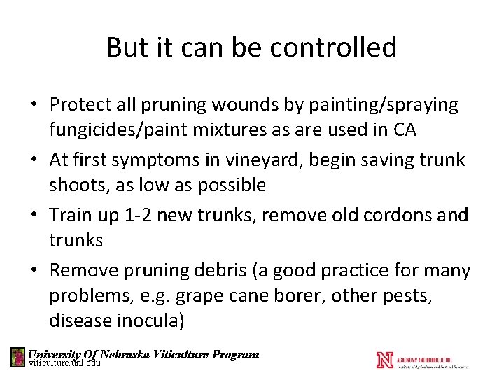 Grape Vine Fungal Trunk Diseases University Of Nebraska