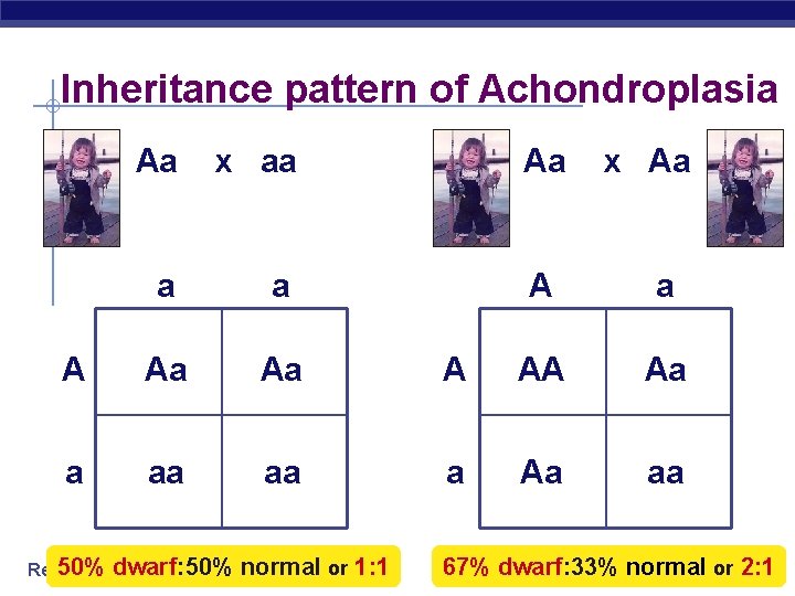 Genetics The Work of Mendel Regents Biology 2007