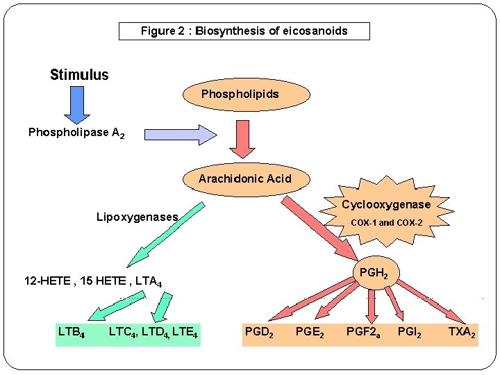 Antirheumatics Treatment of RA 1 Nonsteroidal antiinflammatory drugs