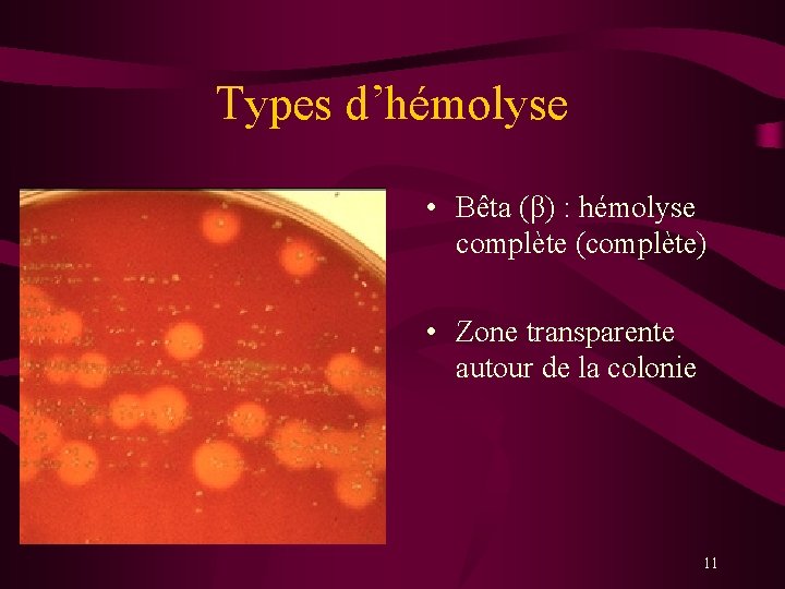 Milieux de culture 1 Milieux de culture Prparation