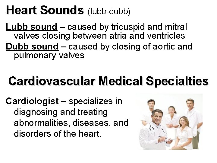 The Heartbeat electrical activity of the heart To