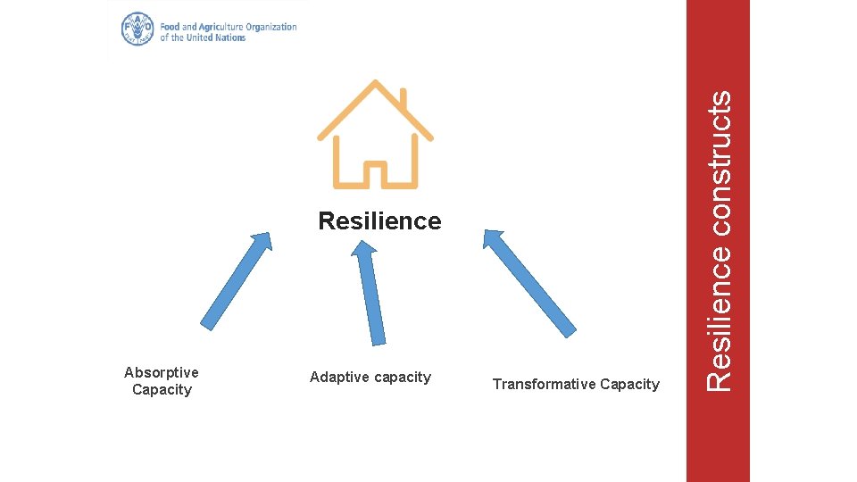 RIMA Resilience Index Measurement and Analysis Oscar Ngesa