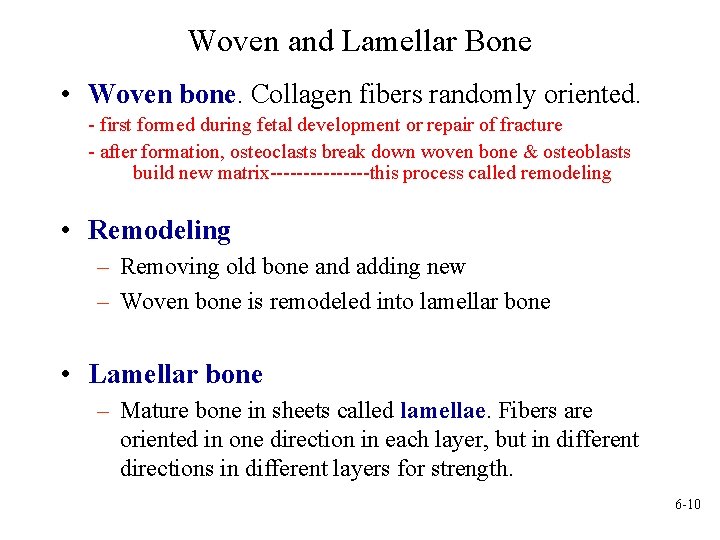 Chapter 6 Skeletal System Bones and Bone Tissue