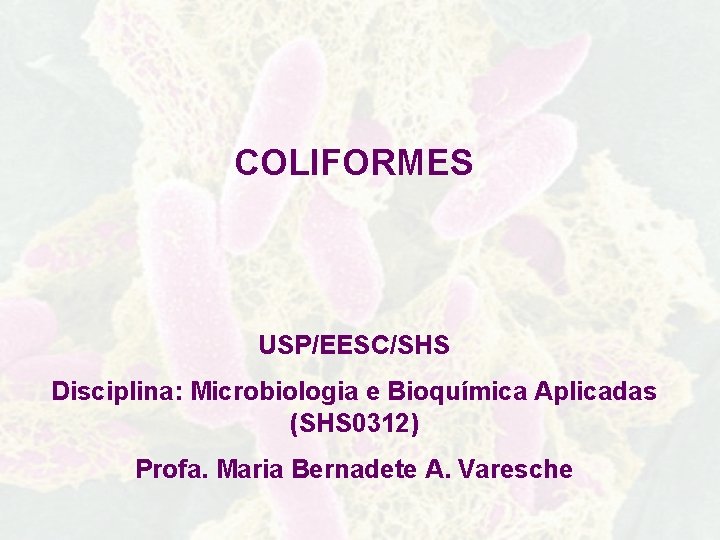 COLIFORMES USPEESCSHS Disciplina Microbiologia e Bioqumica Aplicadas SHS