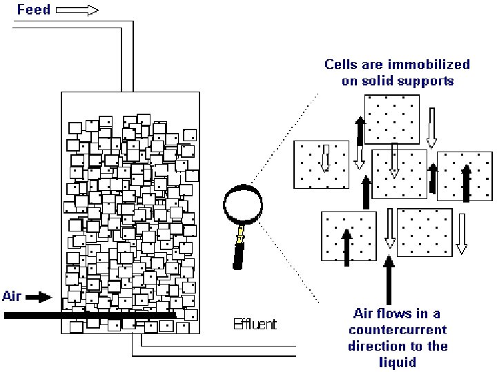 BIOREACTORS CONTENTS 1 Introduction 2 O 2 uptake