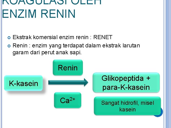 SIFAT FISIK DAN KIMIA SUSU IPTEK Pengolahan Susu