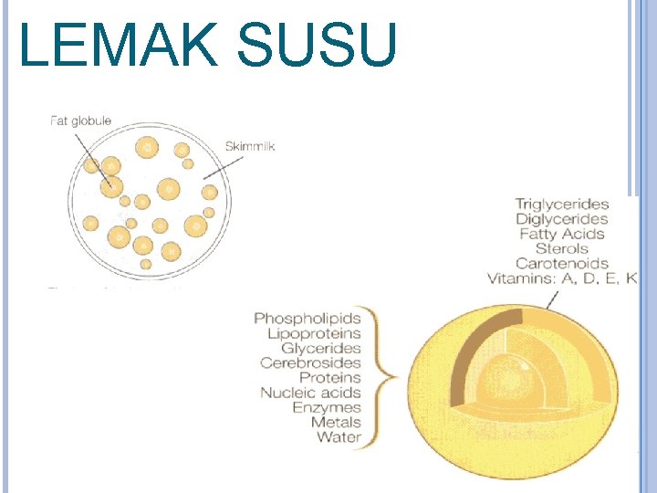 SIFAT FISIK DAN KIMIA SUSU IPTEK Pengolahan Susu
