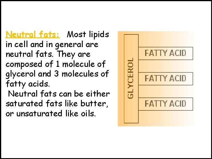 Lipids in cells Tissues Lipids are macromolecules composed