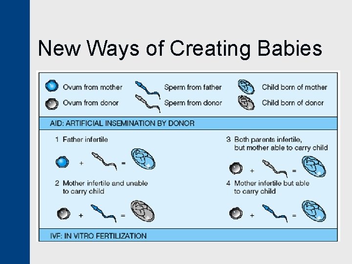 Chapter 9 Family Planning Pregnancy and Birth Chapter