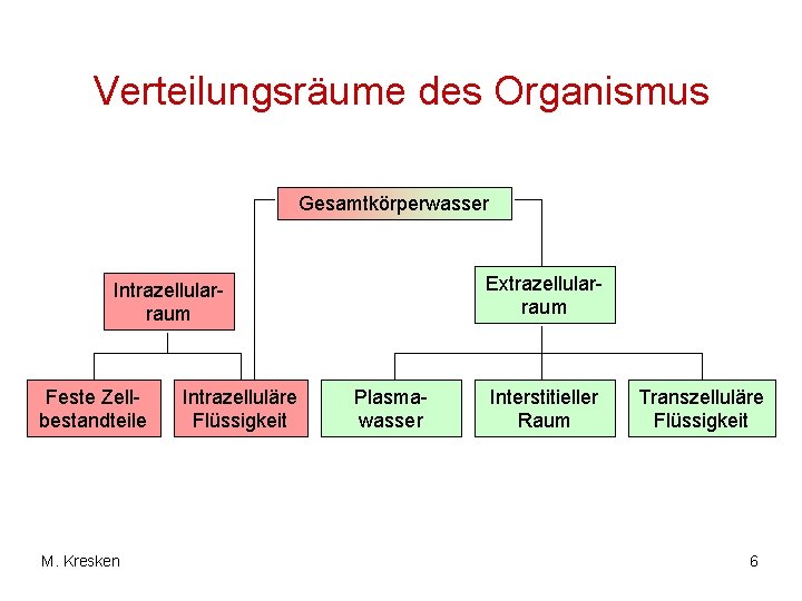Pharmakokinetik II M Kresken 1 Die Substanzverteilung ist