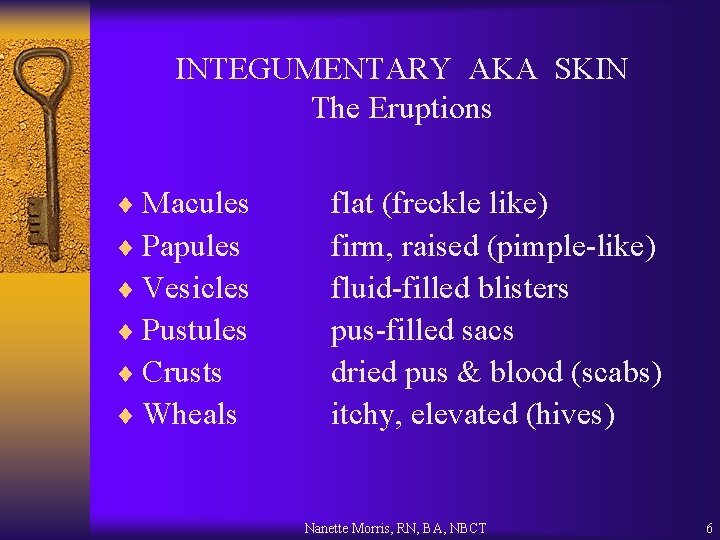 Anatomy Physiology Health Careers Academy Nanette Morris RN