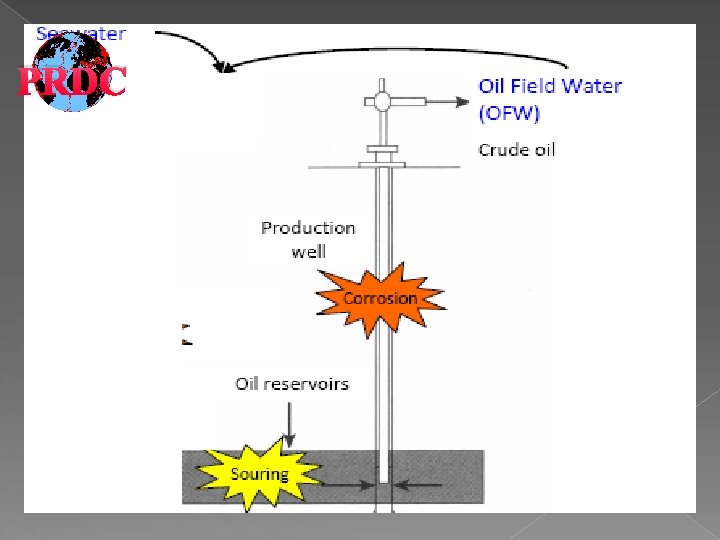 Republic of Iraq Ministry of Oil Petroleum Research