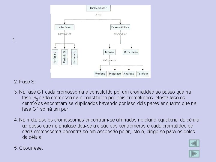 omnis cellula e cellula isto toda a clula