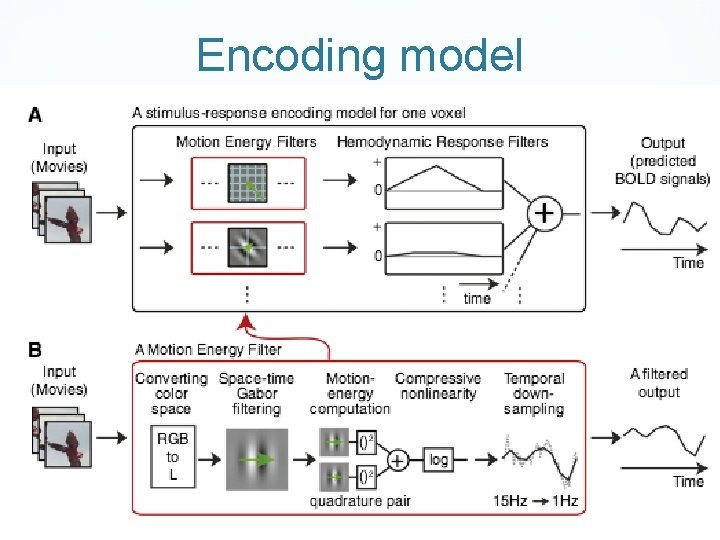 Reconstructing Visual Experiences from Brain Activity Evoked by