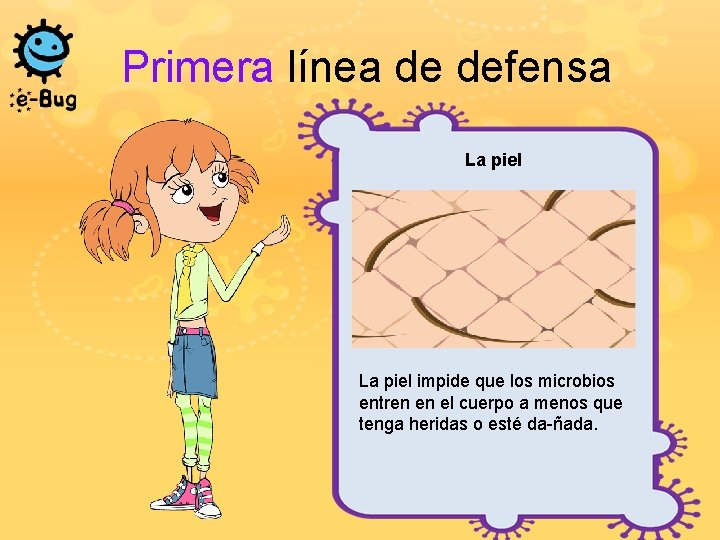 Defensas naturales del organismo Defensas naturales del organismo