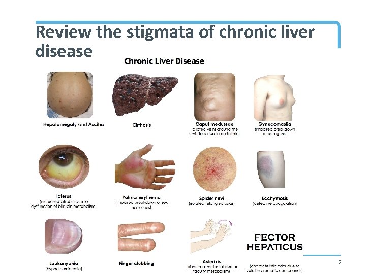 About Dr Chris Hair Gastroenterology and Endoscopy Colonoscopy