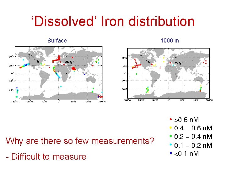 Iron and Biogeochemical Cycles Redfield Ratio C N
