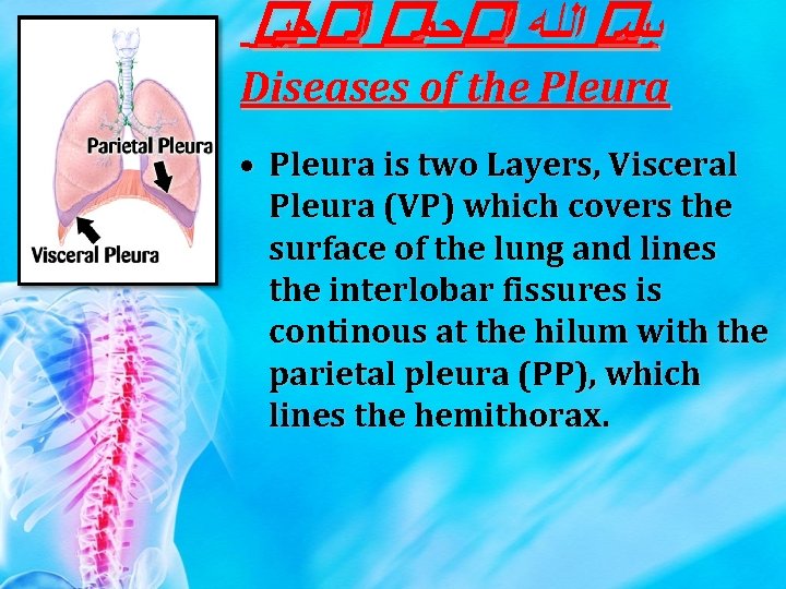Diseases of the Pleura DR Alaa Rashad Diseases