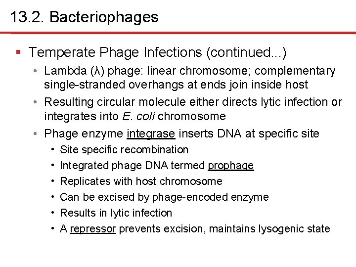 Chapter 13 Lecture Outline See separate Power Point