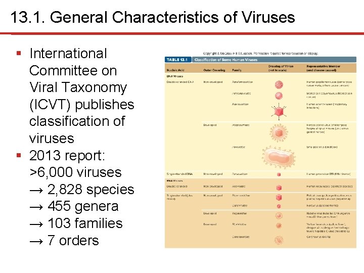 Chapter 13 Lecture Outline See separate Power Point