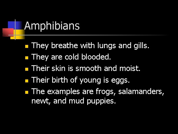 The 5 Classes of Vertebrates Brought to you
