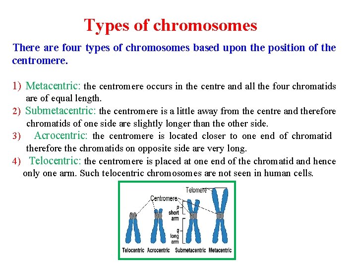 Chromosomes structure and Cell cycle Genetic Material in