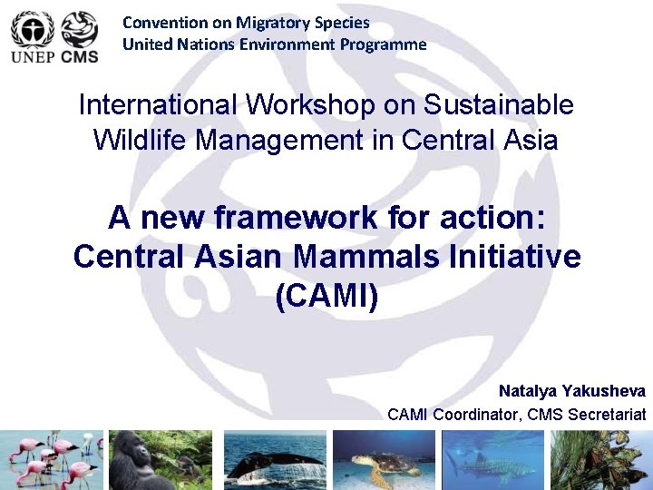 Convention on Migratory Species United Nations Environment Programme