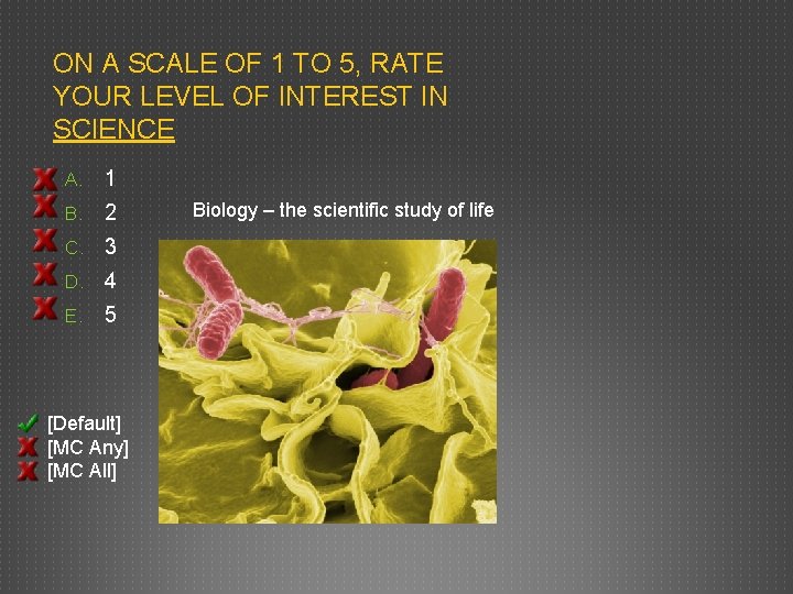 ON A SCALE OF 1 TO 5 RATE