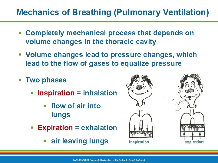 Power Point Lecture Slide Presentation by Patty BostwickTaylor