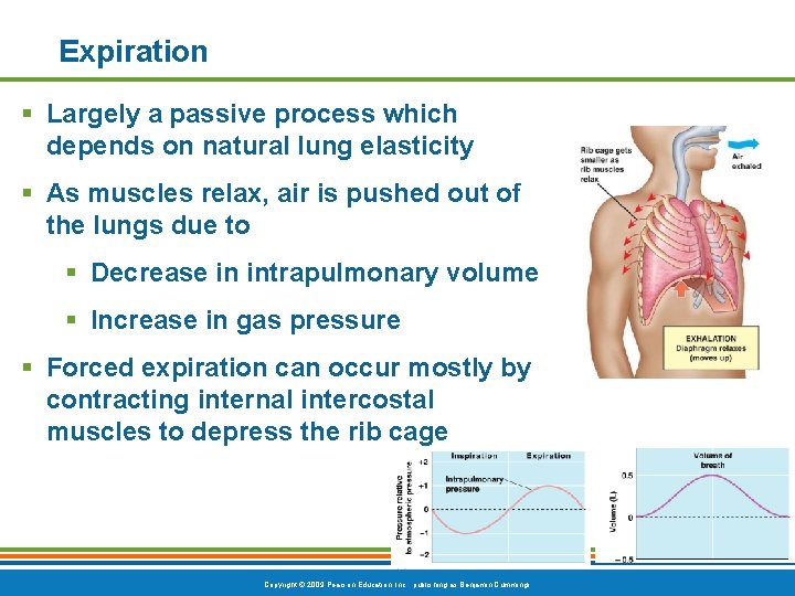 Power Point Lecture Slide Presentation by Patty BostwickTaylor