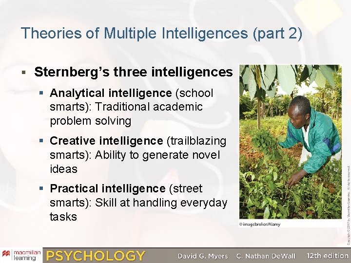 Chapter 10 Intelligence PSYCHOLOGY David G Myers C