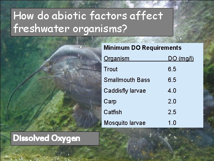 Fresh Water Studies Water Quality Living Organisms Part