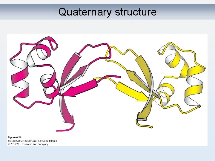 Lecture 6 Web pollev comucibio Text To 37607