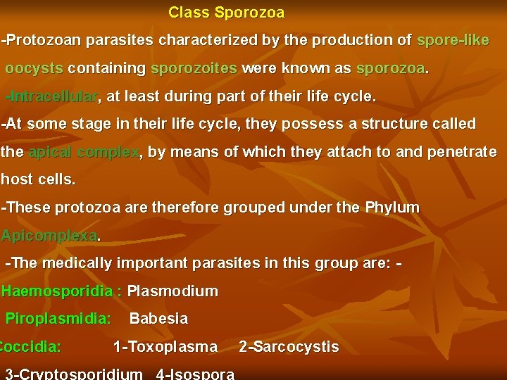 Class Sporozoa Protozoan parasites characterized by the production