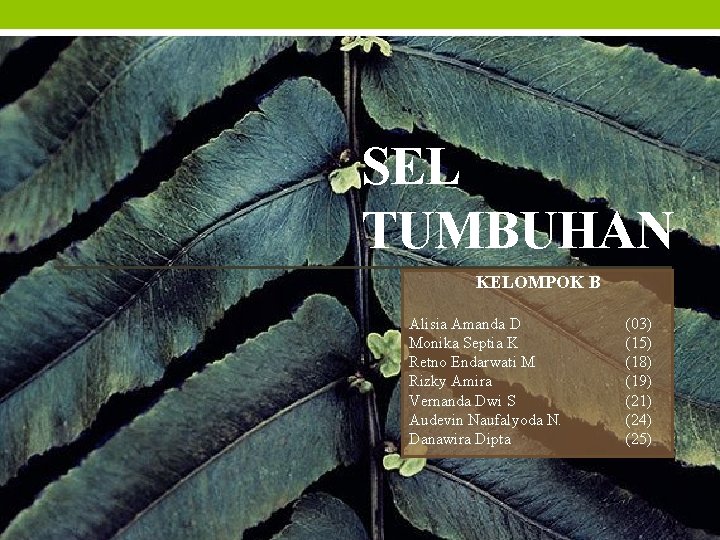 SEL TUMBUHAN KELOMPOK B Alisia Amanda D Monika