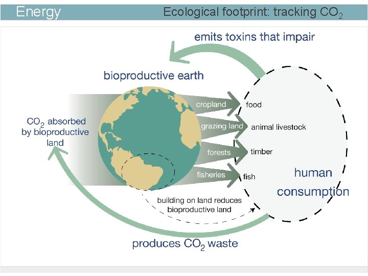 Energy Storyboard Main point Energy resources are abundantly