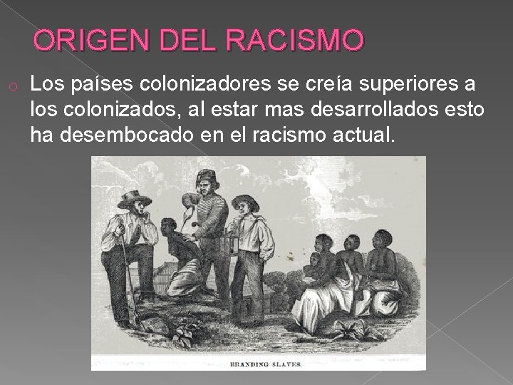 Diversidad cultural racismo y xenofobia NDICE Introduccin Origen