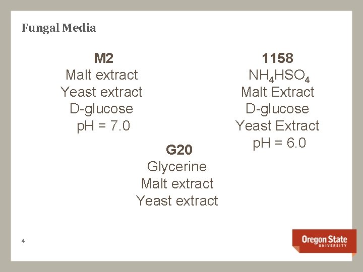 Chemical Screen and Antibacterial Testing of Fungal Endophytes